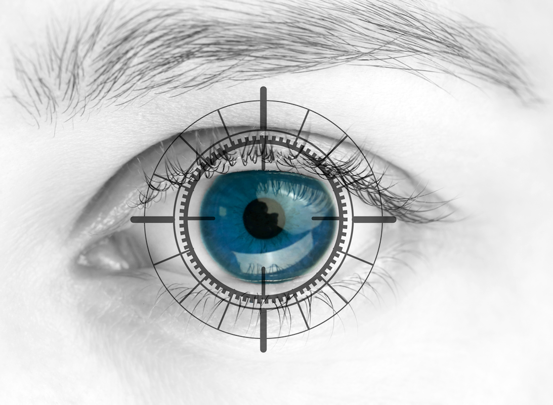 Upgrade to SuperLab X6 – Cedrus