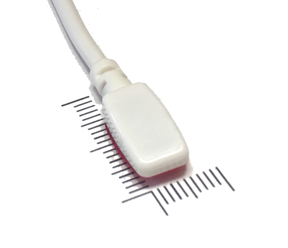 White Light Sensor – Cedrus